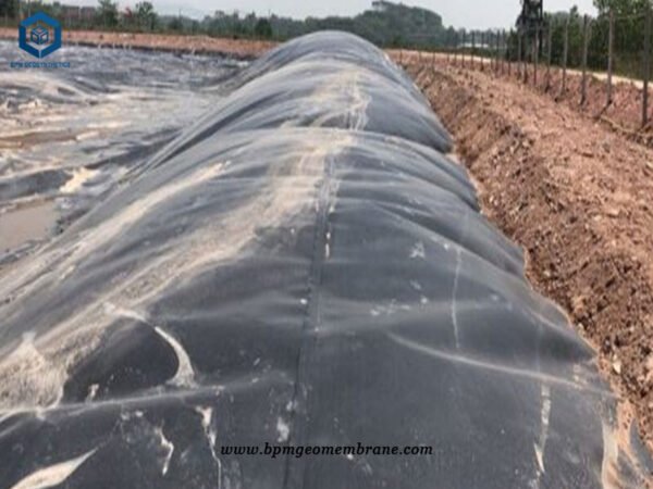 Pool Liners for Fish Ponds - Pond Liner, Geomembrane Pond Liner